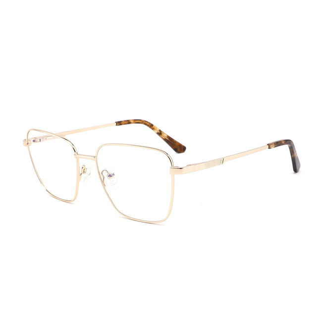 optical frame
